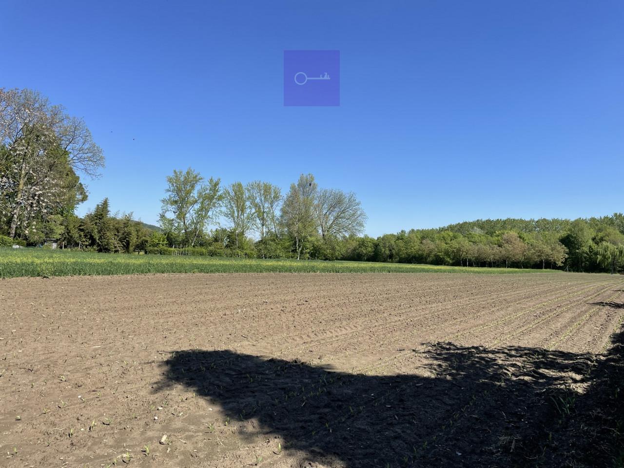 Terreno edificabile residenziale in vendita a Due Carrare