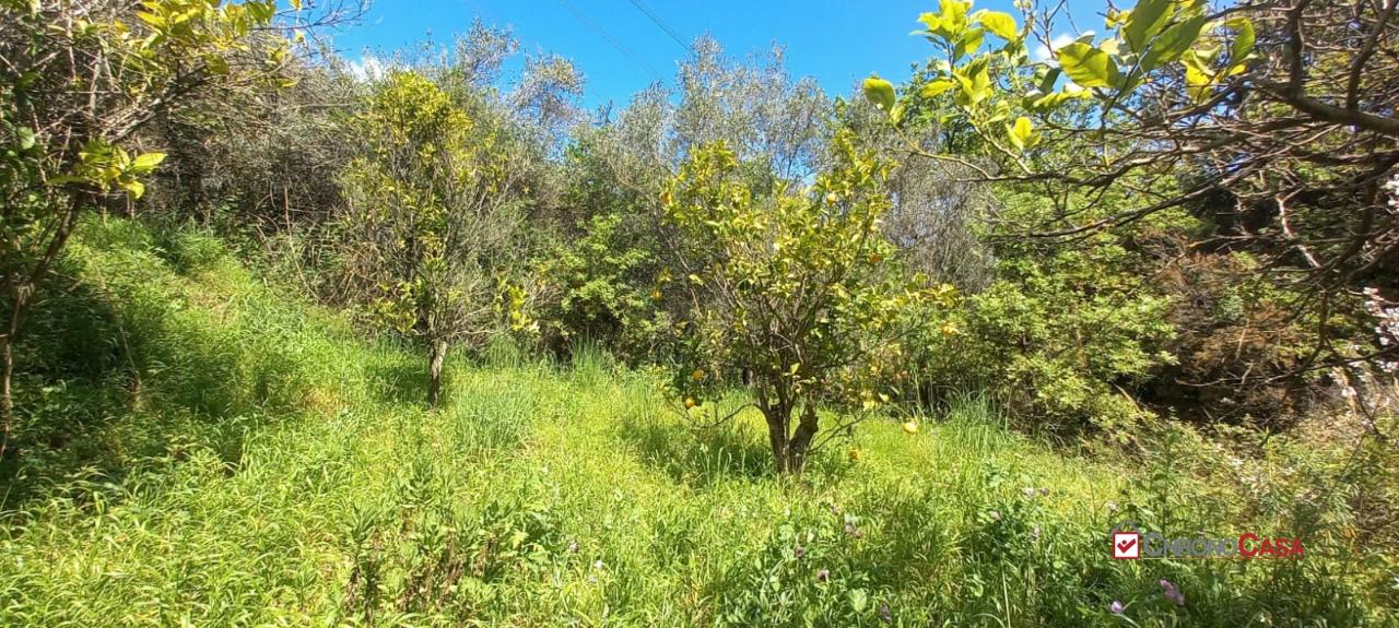 Terreno agricolo in vendita a Barcellona Pozzo Di Gotto