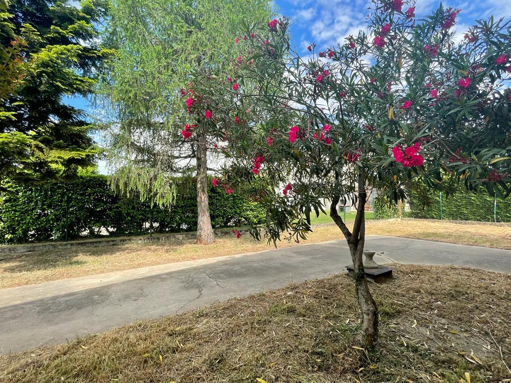 Casa indipendente in vendita a Salzano