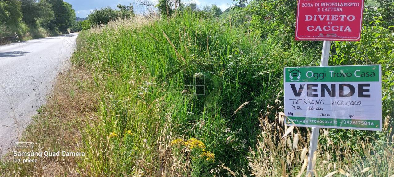 Terreno agricolo in vendita a Acquaviva Picena