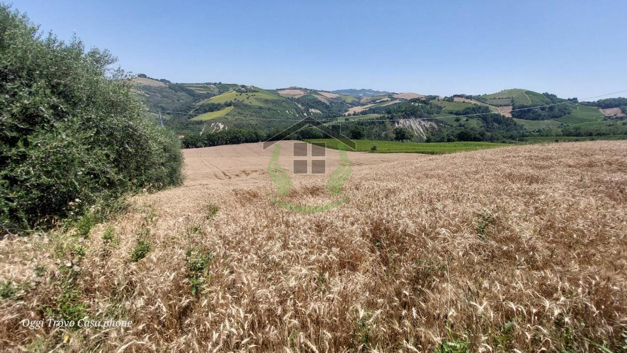 Terreno agricolo in vendita a Cossignano