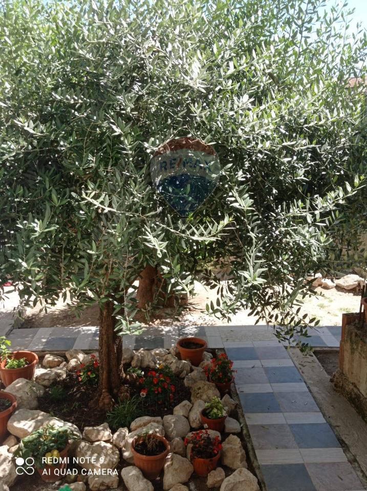 Appartamento in vendita a Cassino