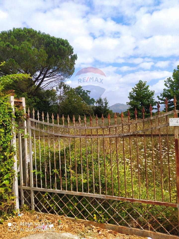 Terreno agricolo in vendita a Riardo
