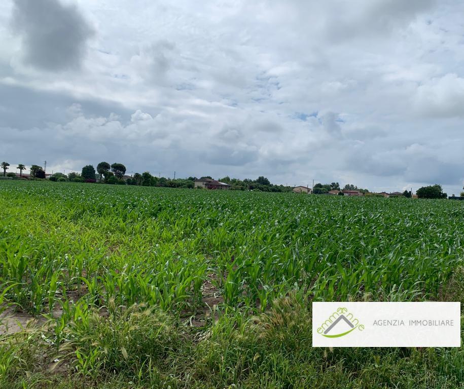 Terreno agricolo in vendita a Dolo