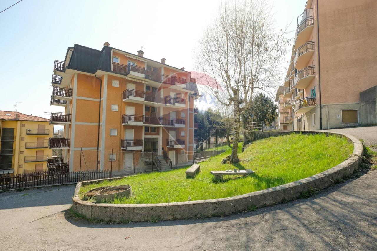 Appartamento in vendita a Roncola