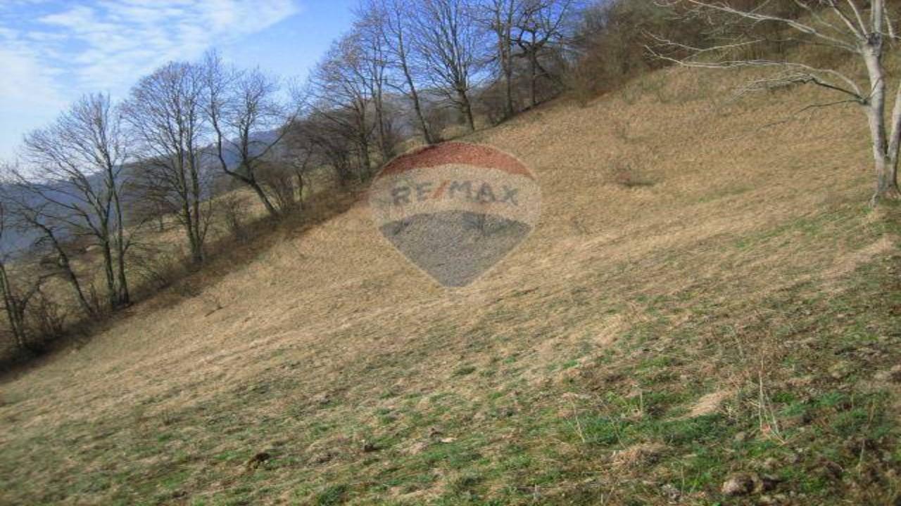 Terreno agricolo in vendita a Val Brembilla