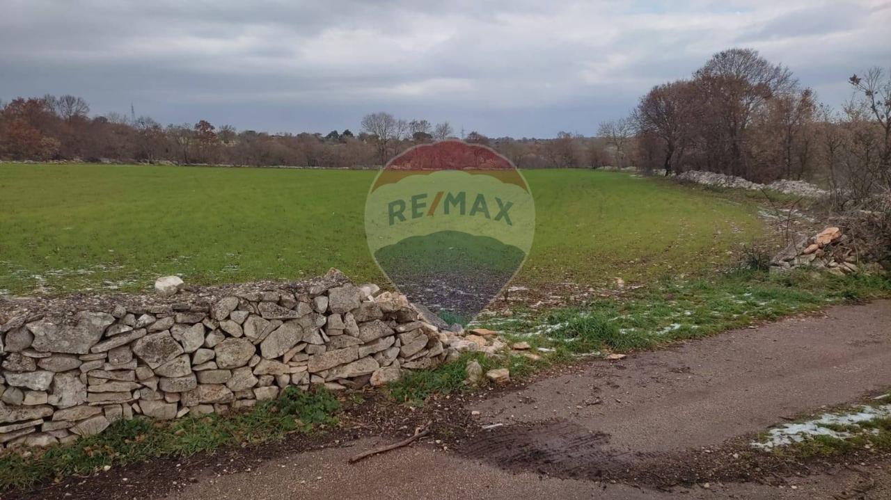 Terreno agricolo in vendita a Santeramo In Colle