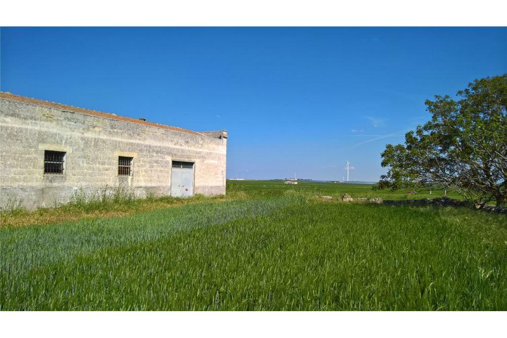 Terreno agricolo in vendita a Laterza