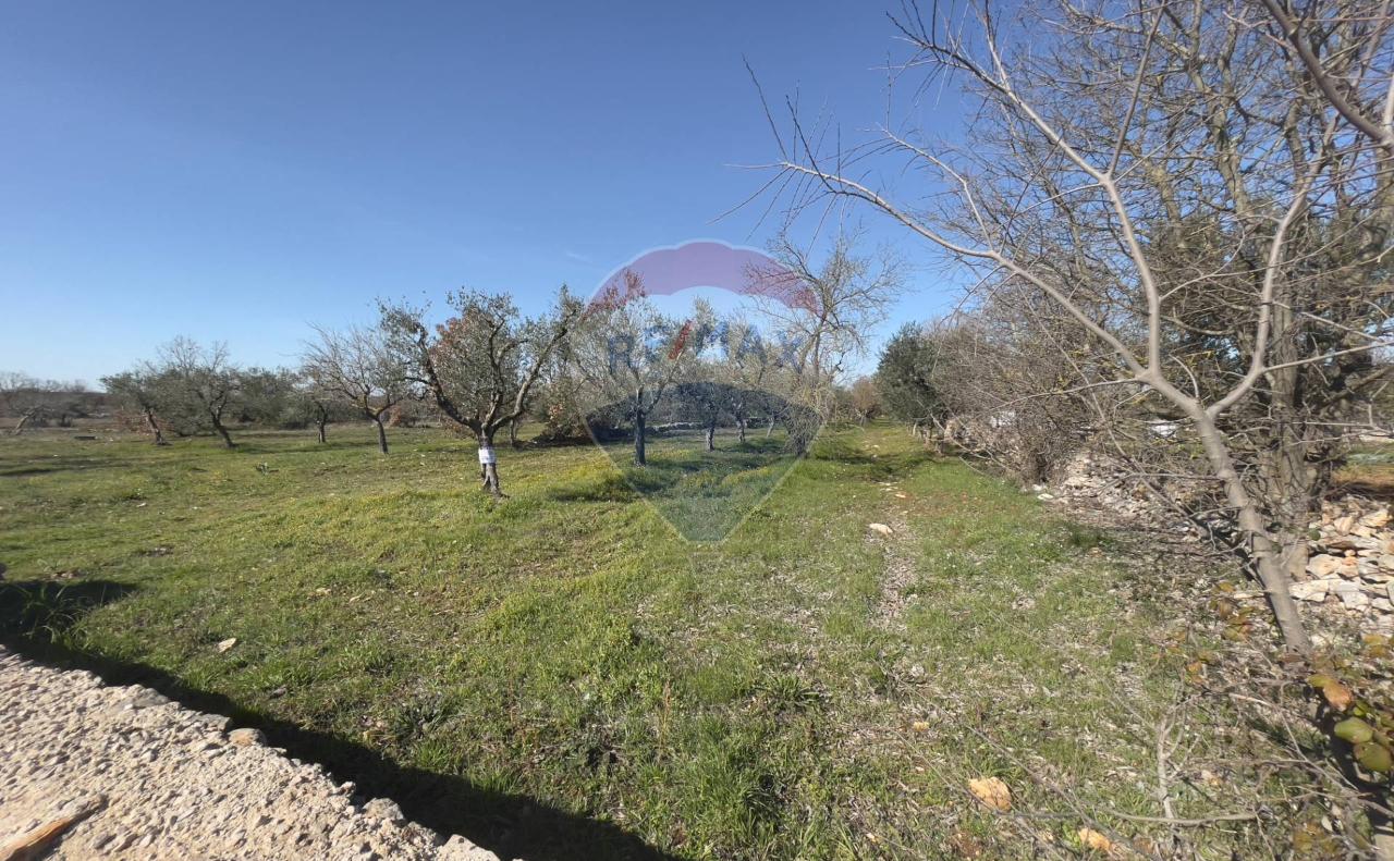 Terreno agricolo in vendita a Santeramo In Colle