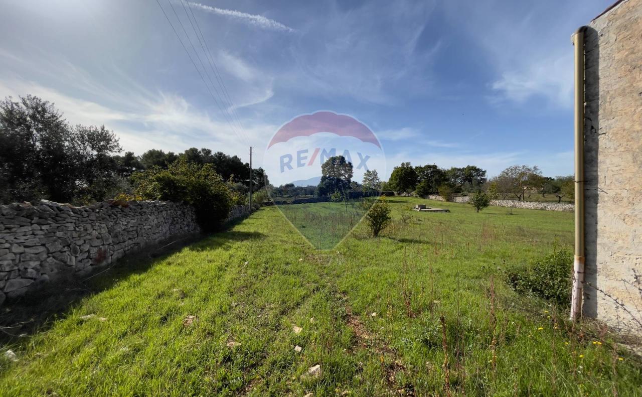 Terreno agricolo in vendita a Santeramo In Colle