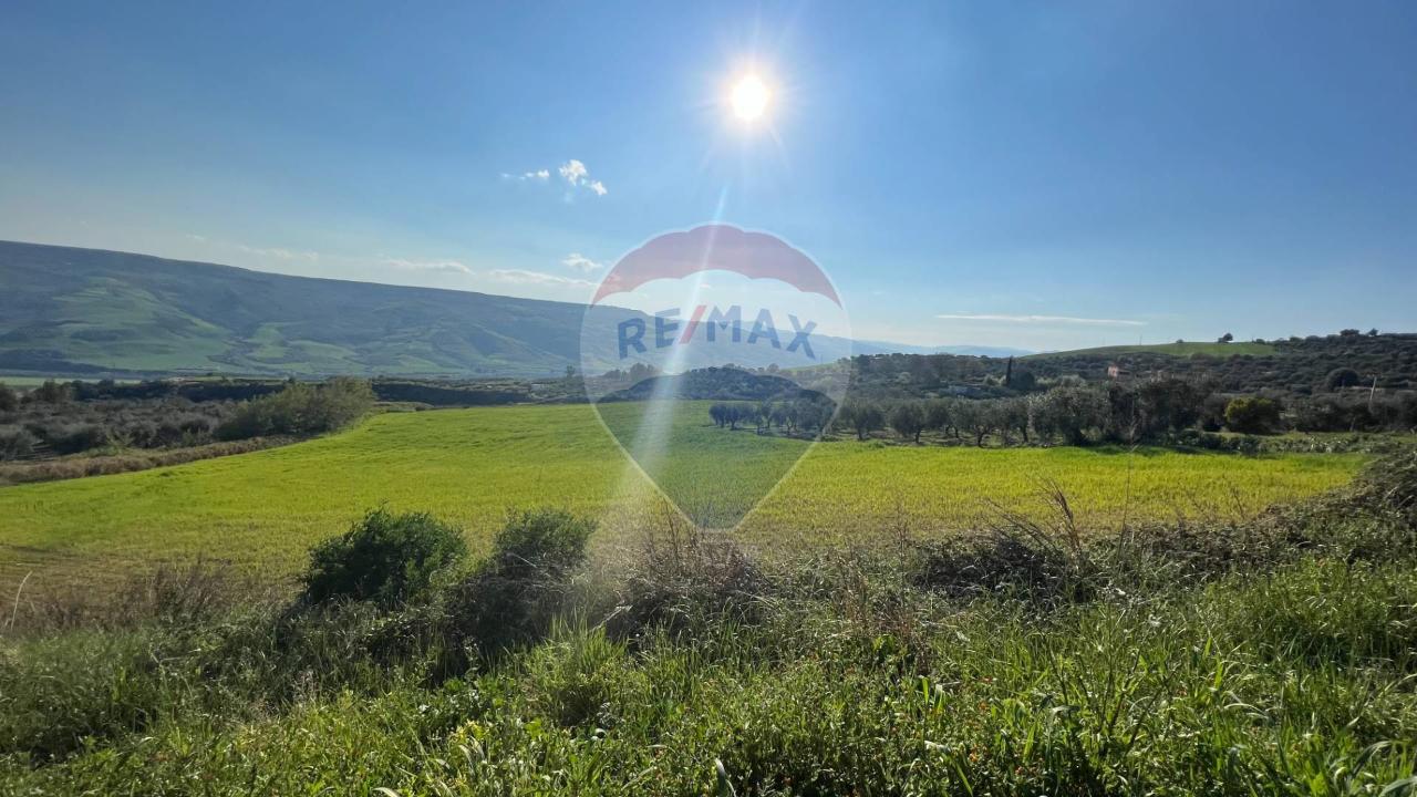 Terreno agricolo in vendita a Grottole