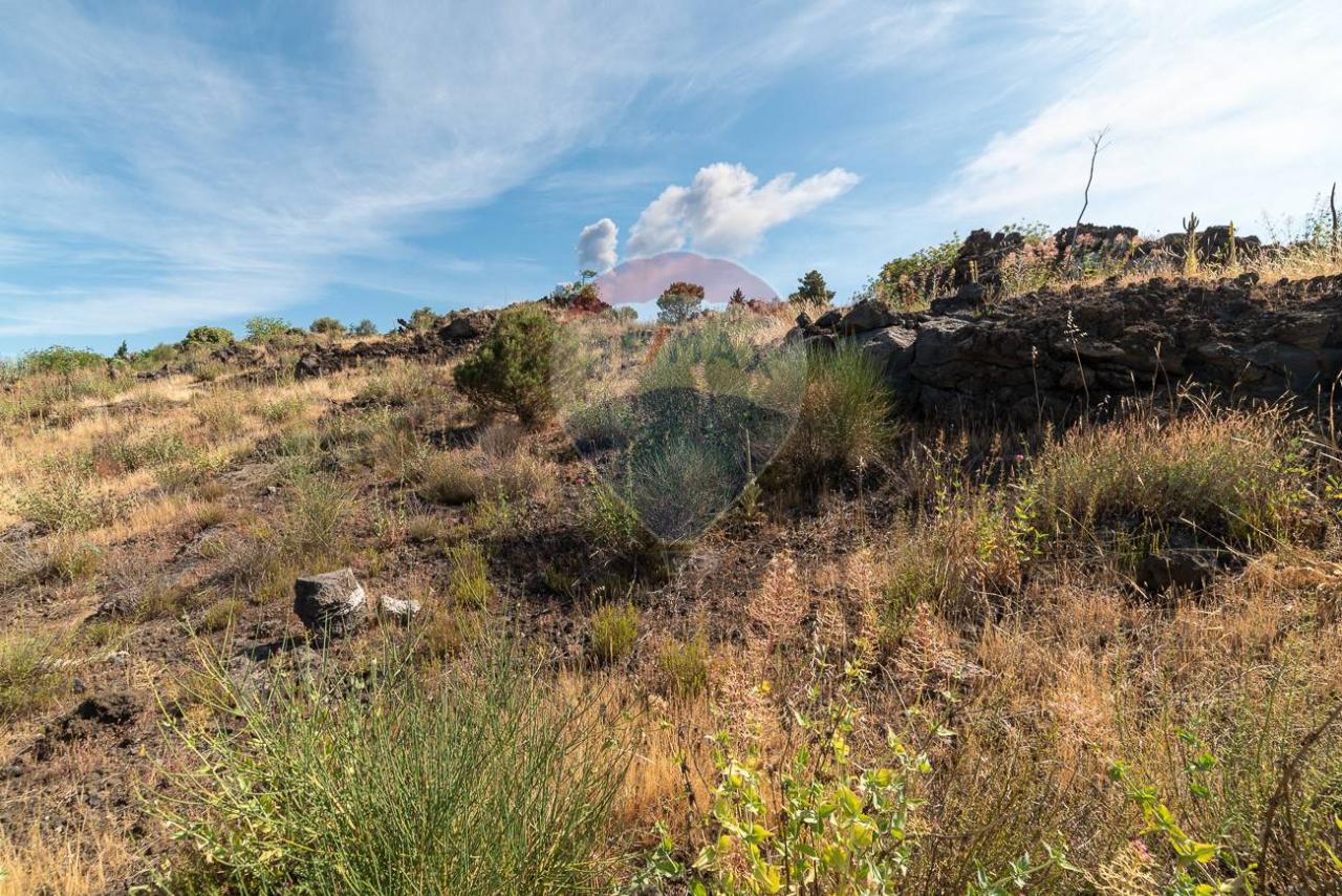 Terreno agricolo in vendita a Belpasso