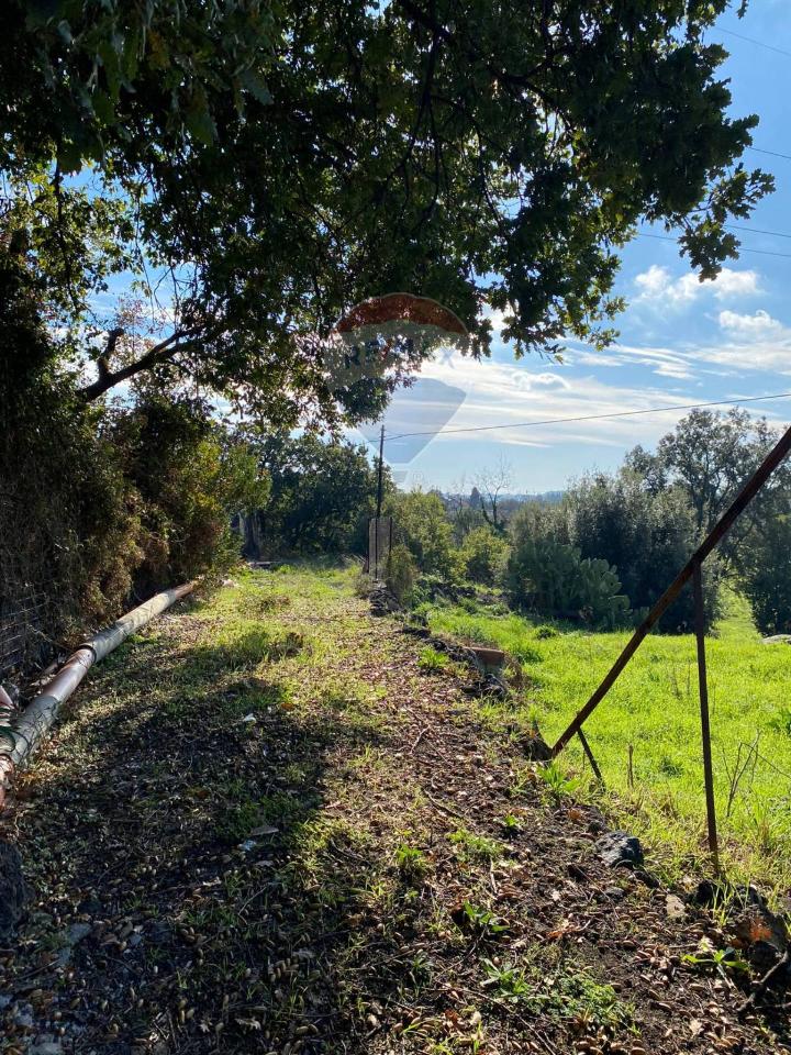 Terreno agricolo in vendita a San Giovanni La Punta