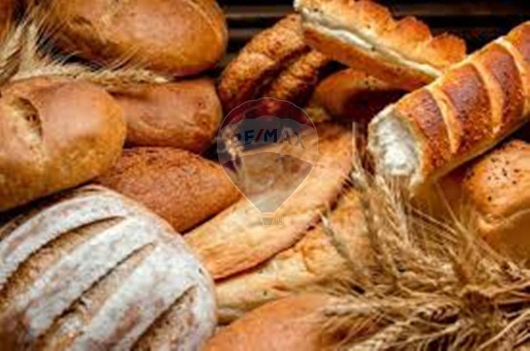 Esercizio commerciale in vendita a Catania