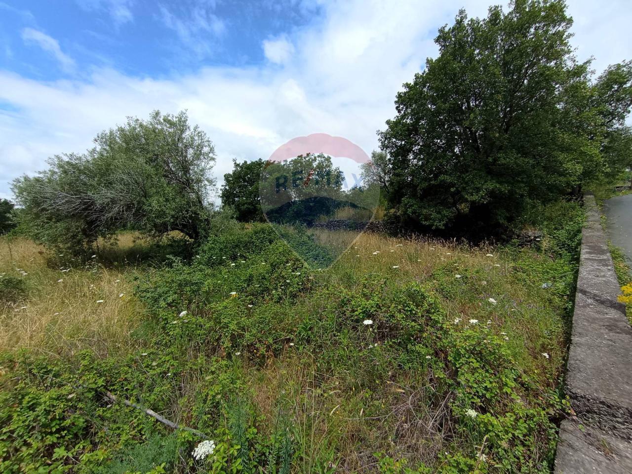 Terreno agricolo in vendita a Ragalna