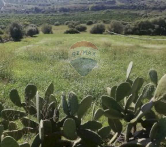 Terreno agricolo in vendita a Belpasso