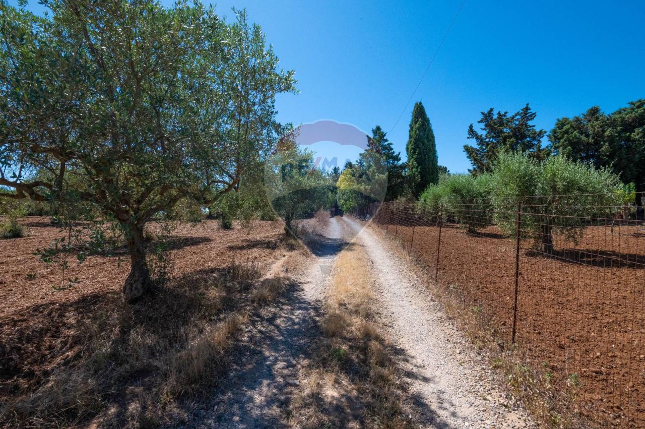 Terreno agricolo in vendita a Caltagirone