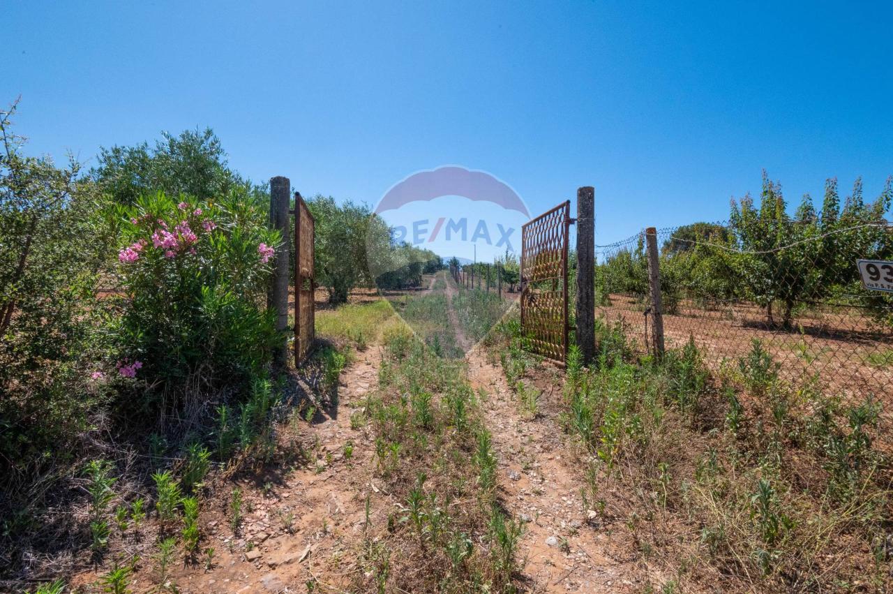 Terreno agricolo in vendita a Caltagirone