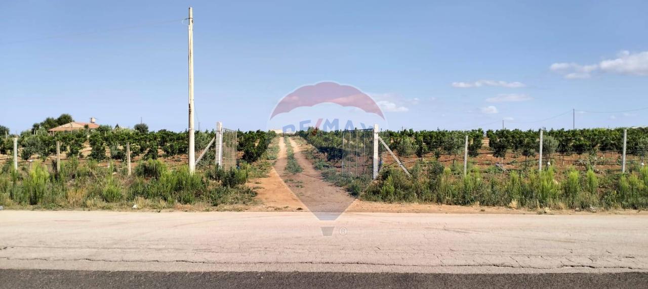 Terreno agricolo in vendita a Caltagirone