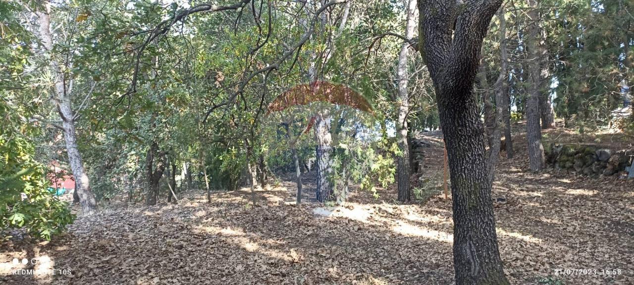 Terreno agricolo in vendita a Zafferana Etnea