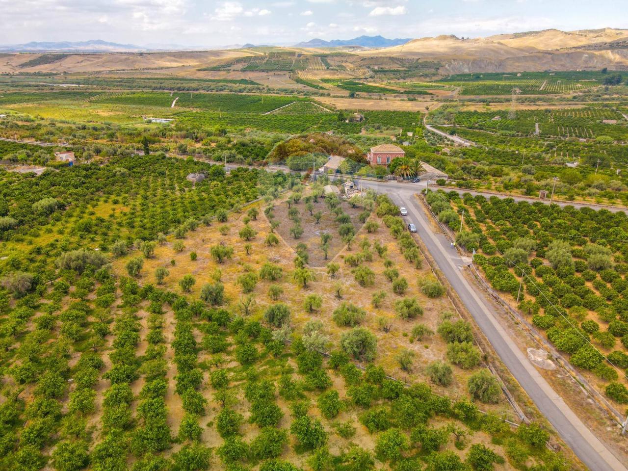 Terreno agricolo in vendita a Paterno'