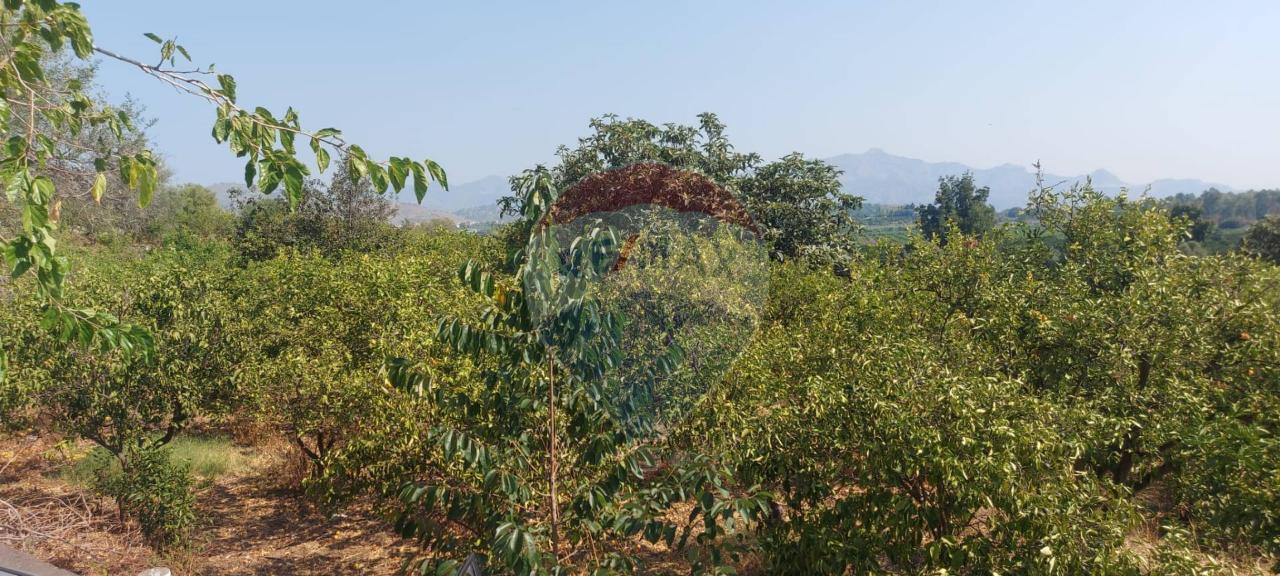 Terreno agricolo in vendita a Mascali