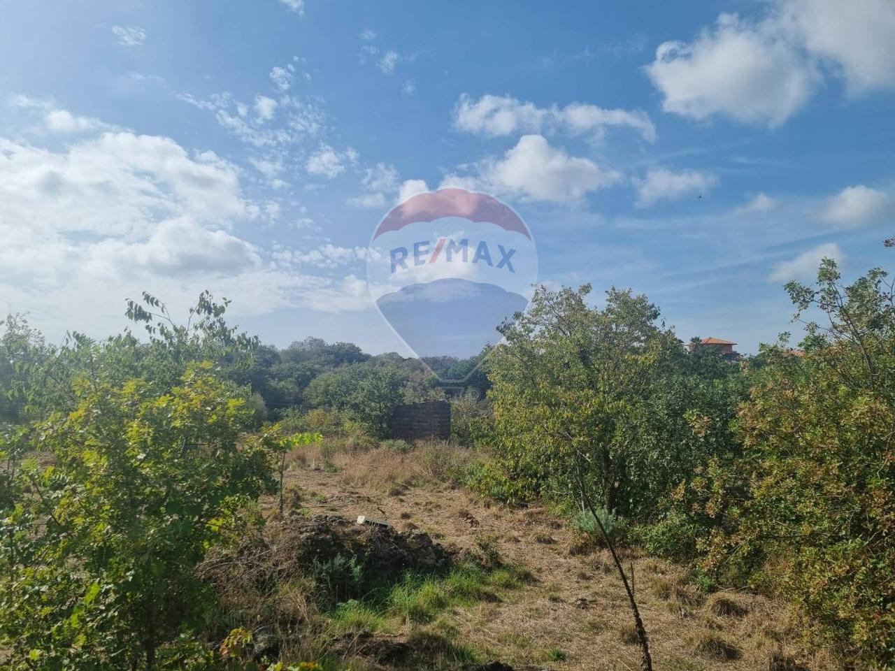 Terreno agricolo in vendita a Mascalucia