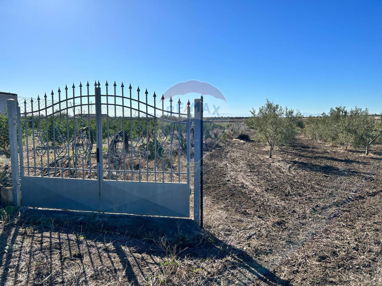 Terreno agricolo in vendita a Paterno'