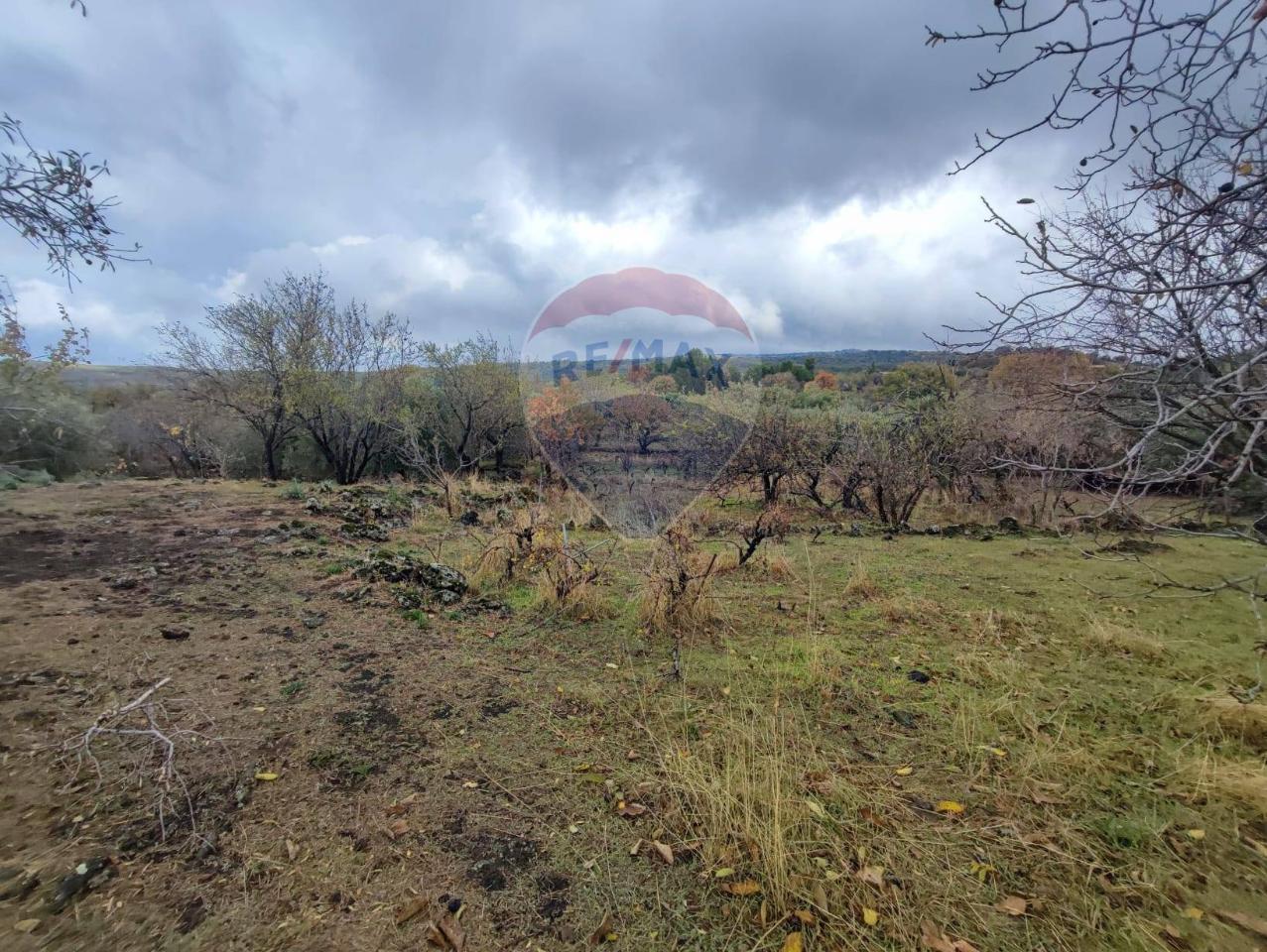 Terreno agricolo in vendita a Santa Maria Di Licodia