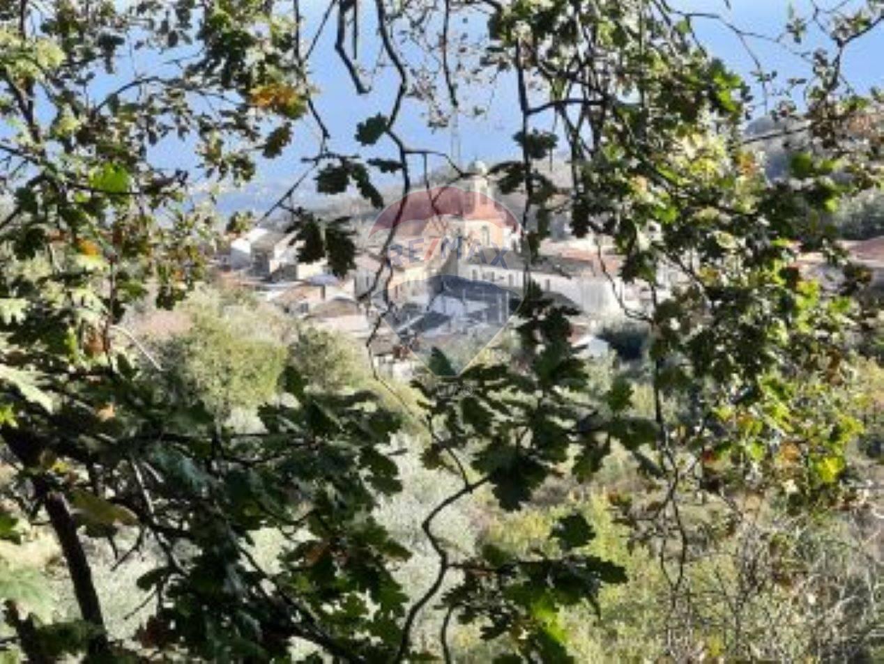 Terreno edificabile in vendita a Piedimonte Etneo