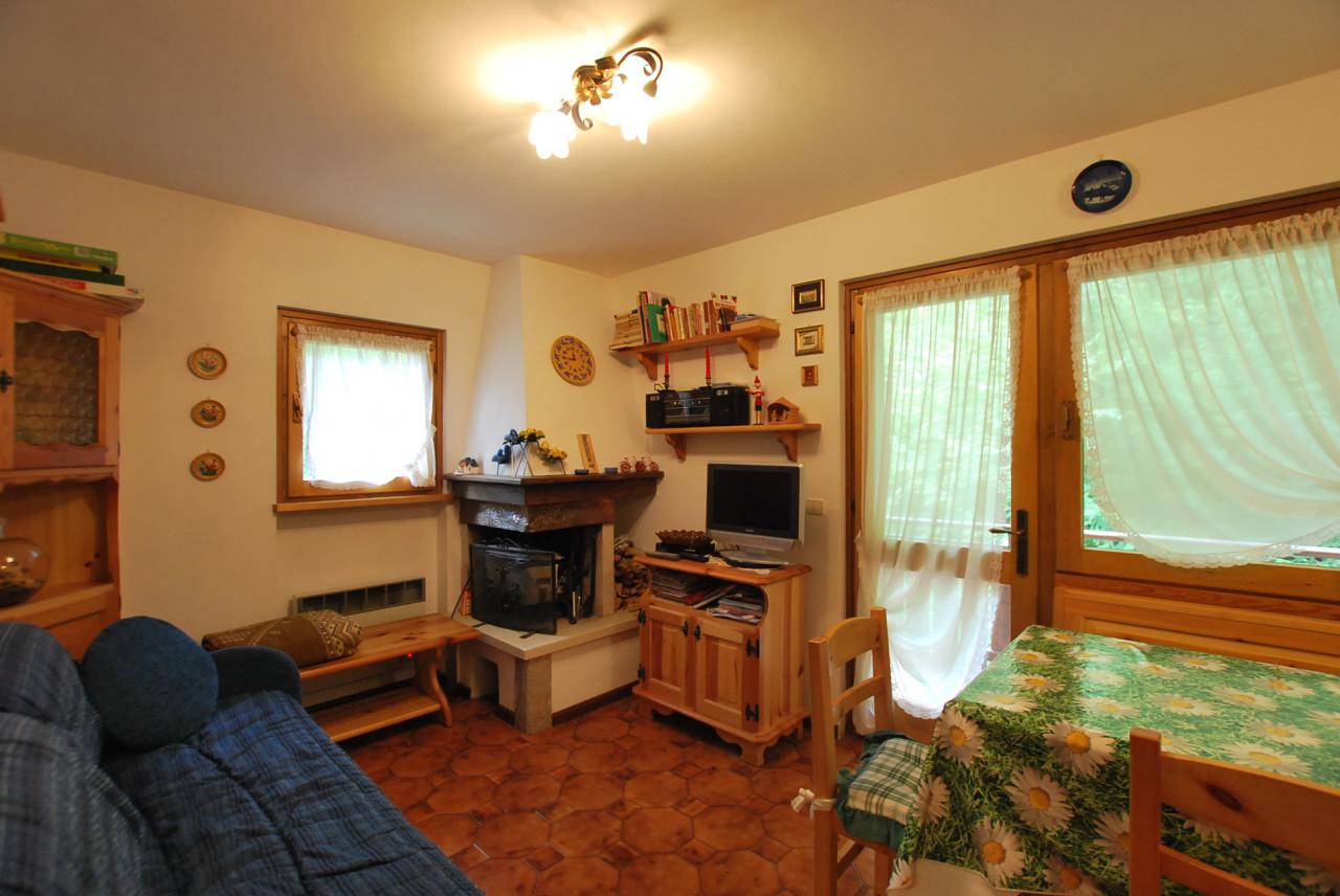 Appartamento in vendita a Auronzo Di Cadore