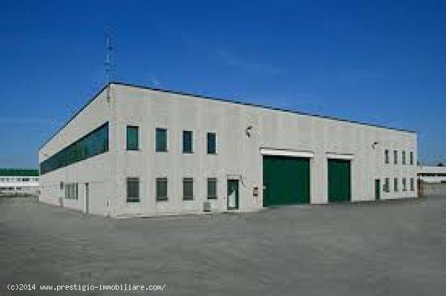 Esercizio commerciale in affitto a Alba