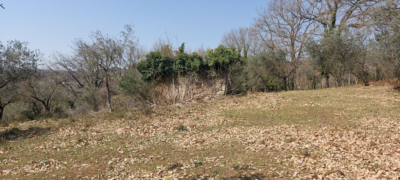 Terreno agricolo in vendita a Massa Martana