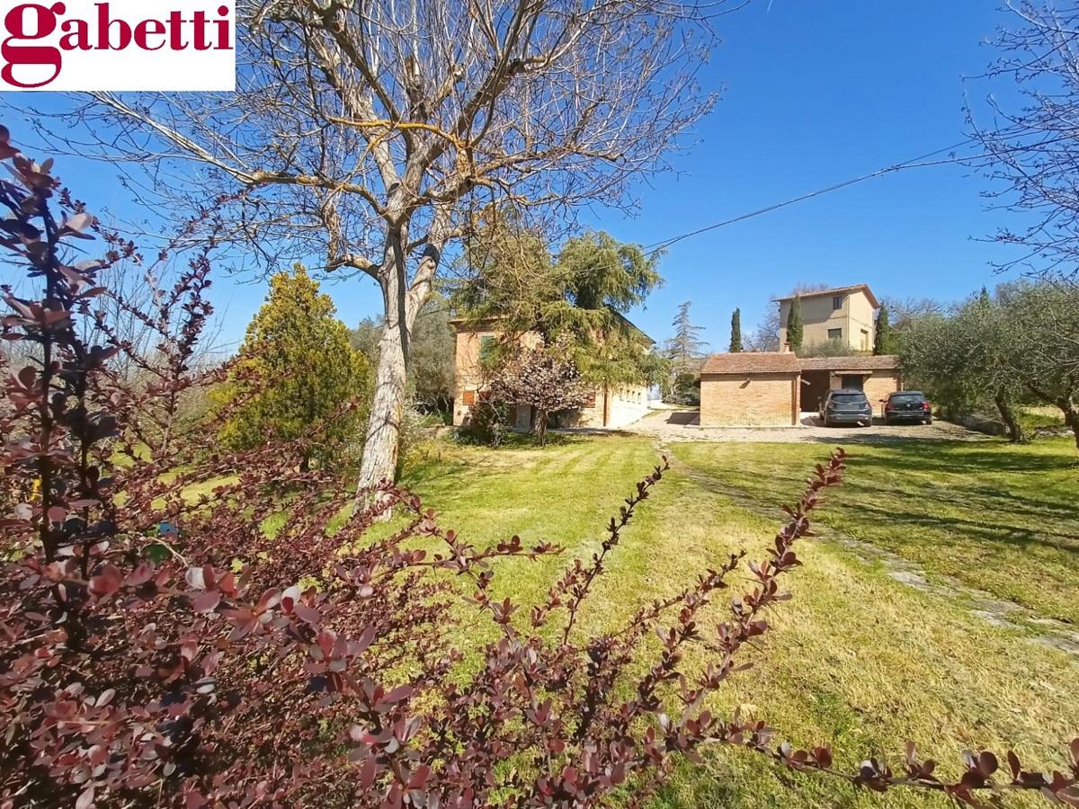 Appartamento in vendita a Montalcino