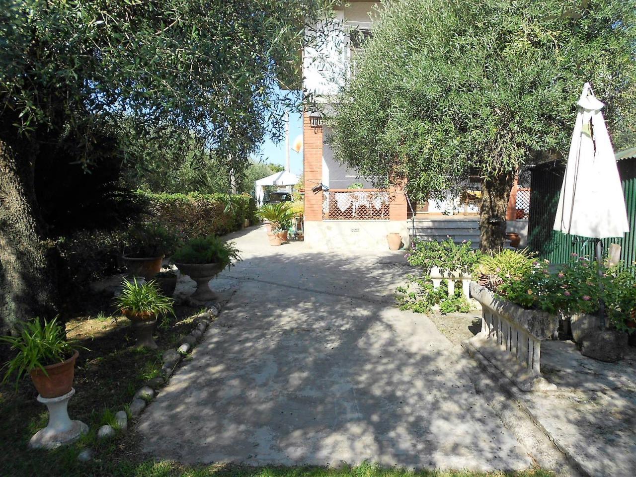 Villa in vendita a Seravezza