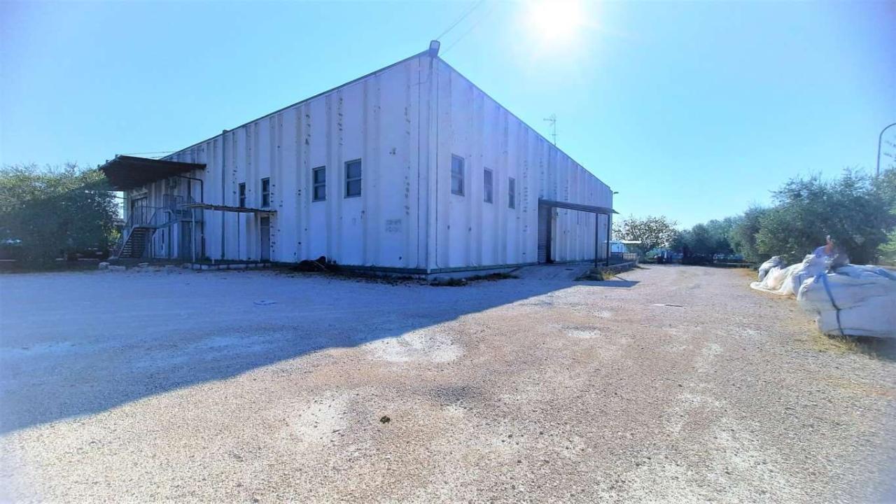 Capannone in affitto a Frosinone