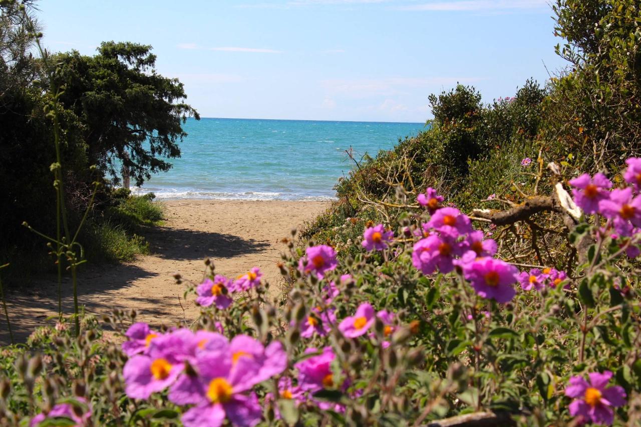 Appartamento in vendita a Orbetello