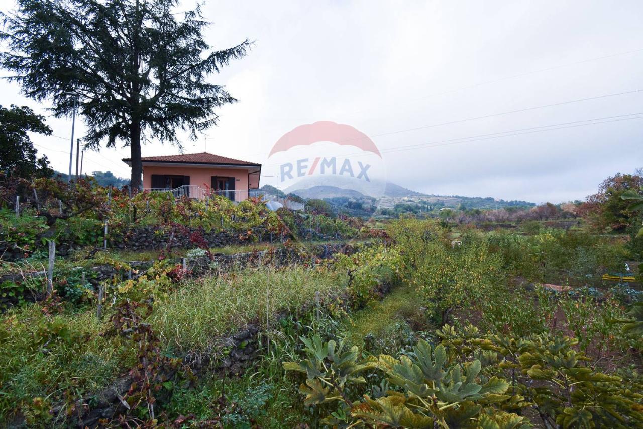 Casa indipendente in vendita a Viagrande