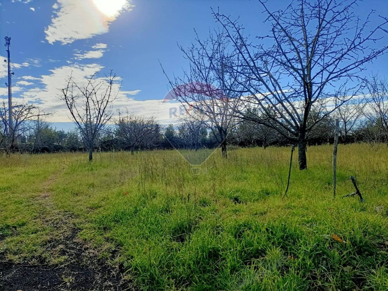 Terreno agricolo in vendita a Giarre