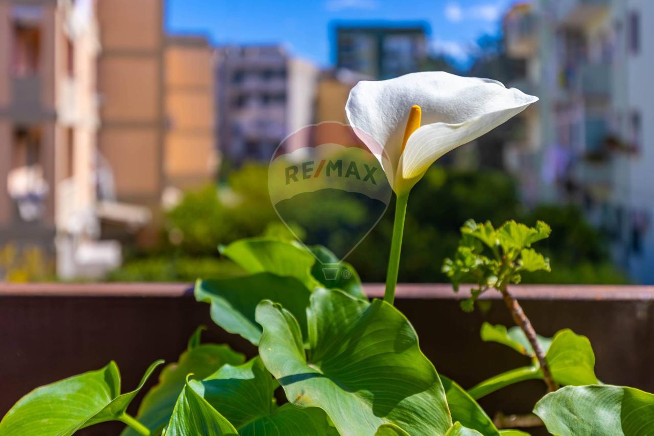Appartamento in vendita a Bari