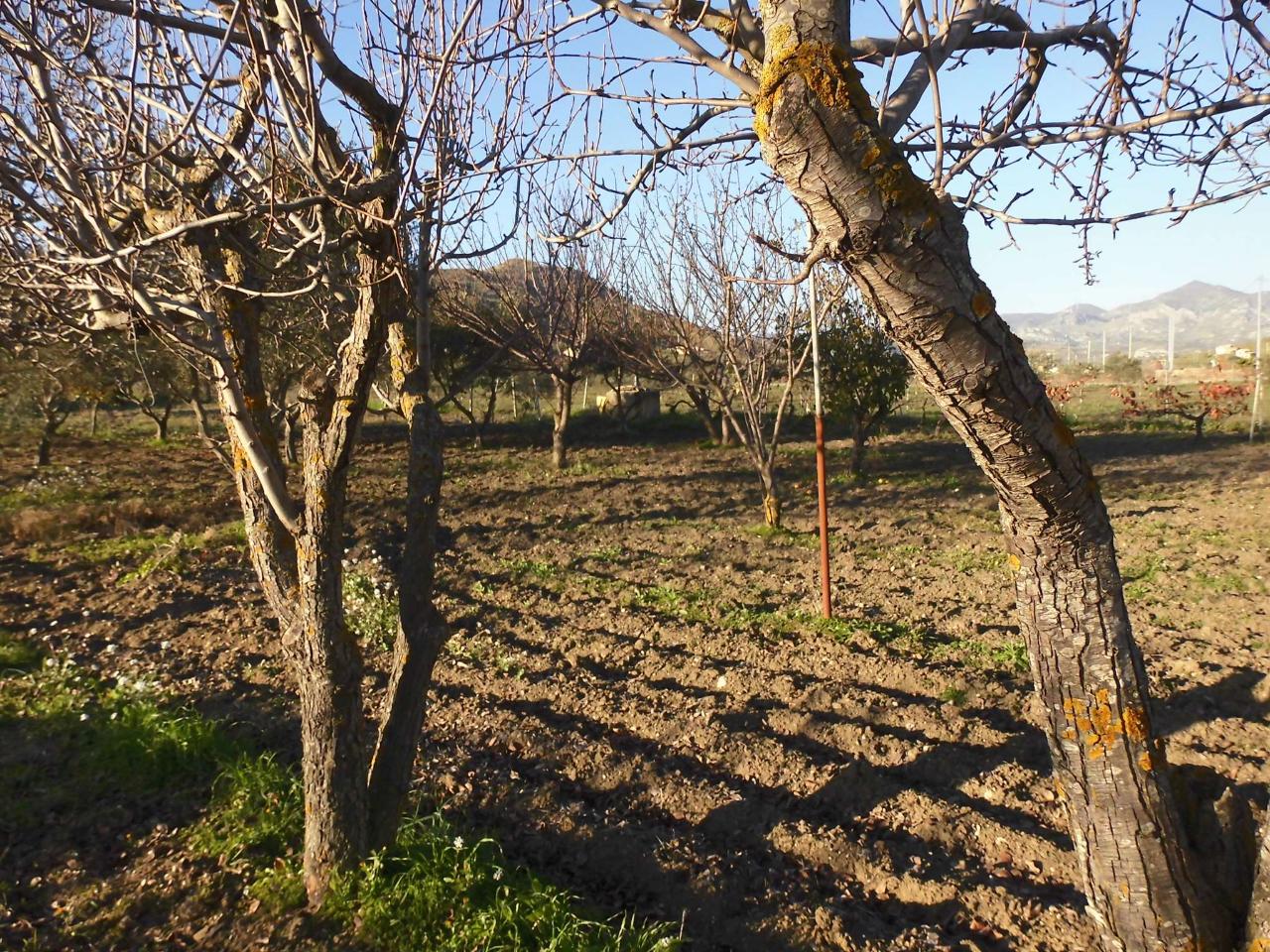 Rustico in vendita a Siculiana