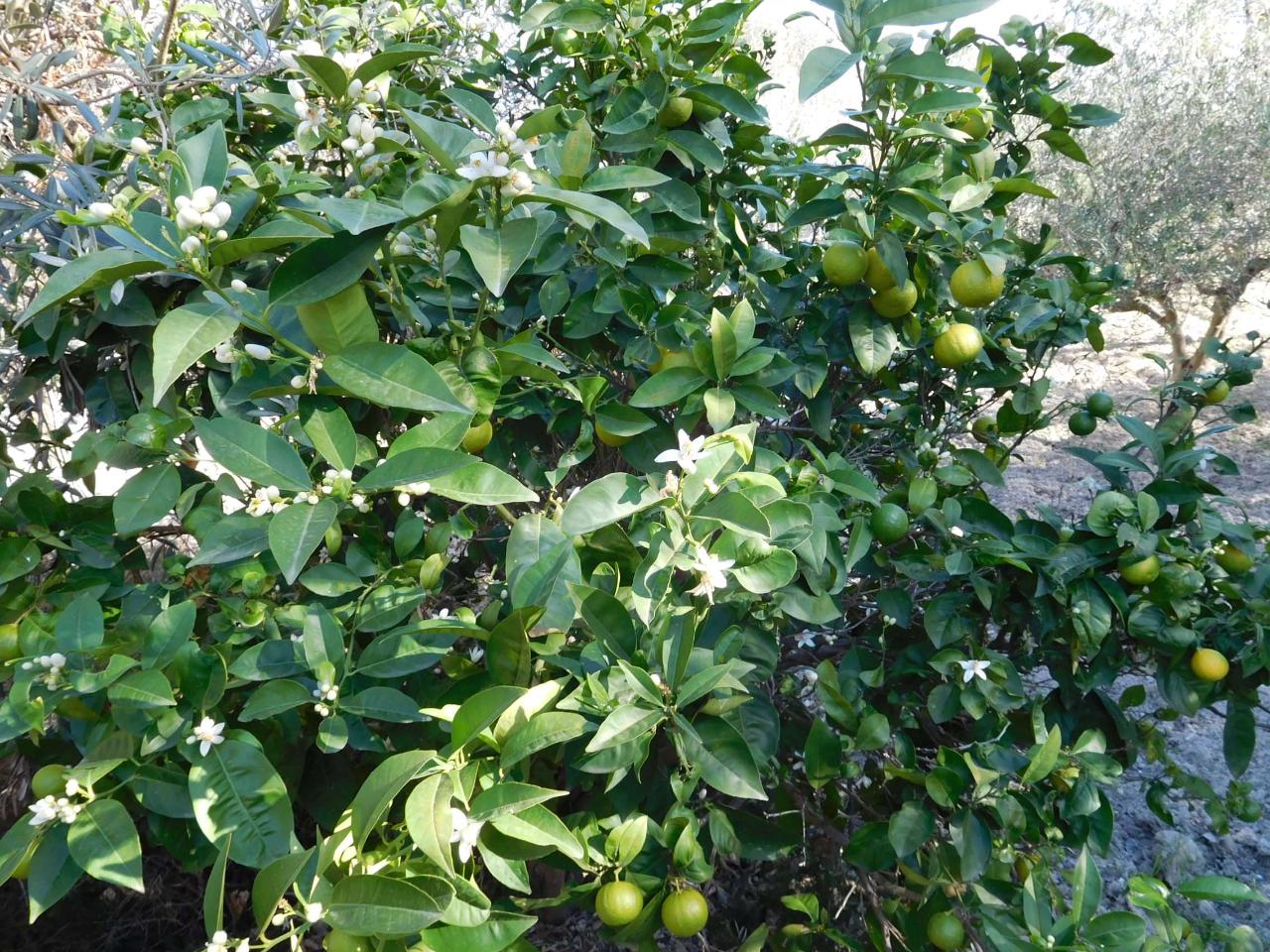 Magazzino in vendita a Agrigento