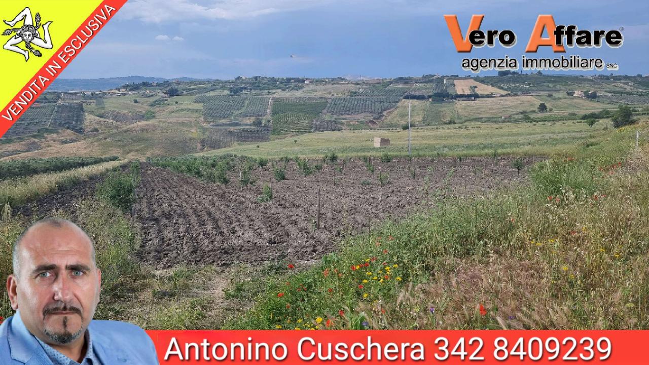 Terreno agricolo in vendita a Naro