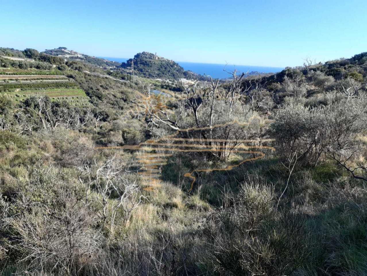 Terreno agricolo in vendita a Sanremo