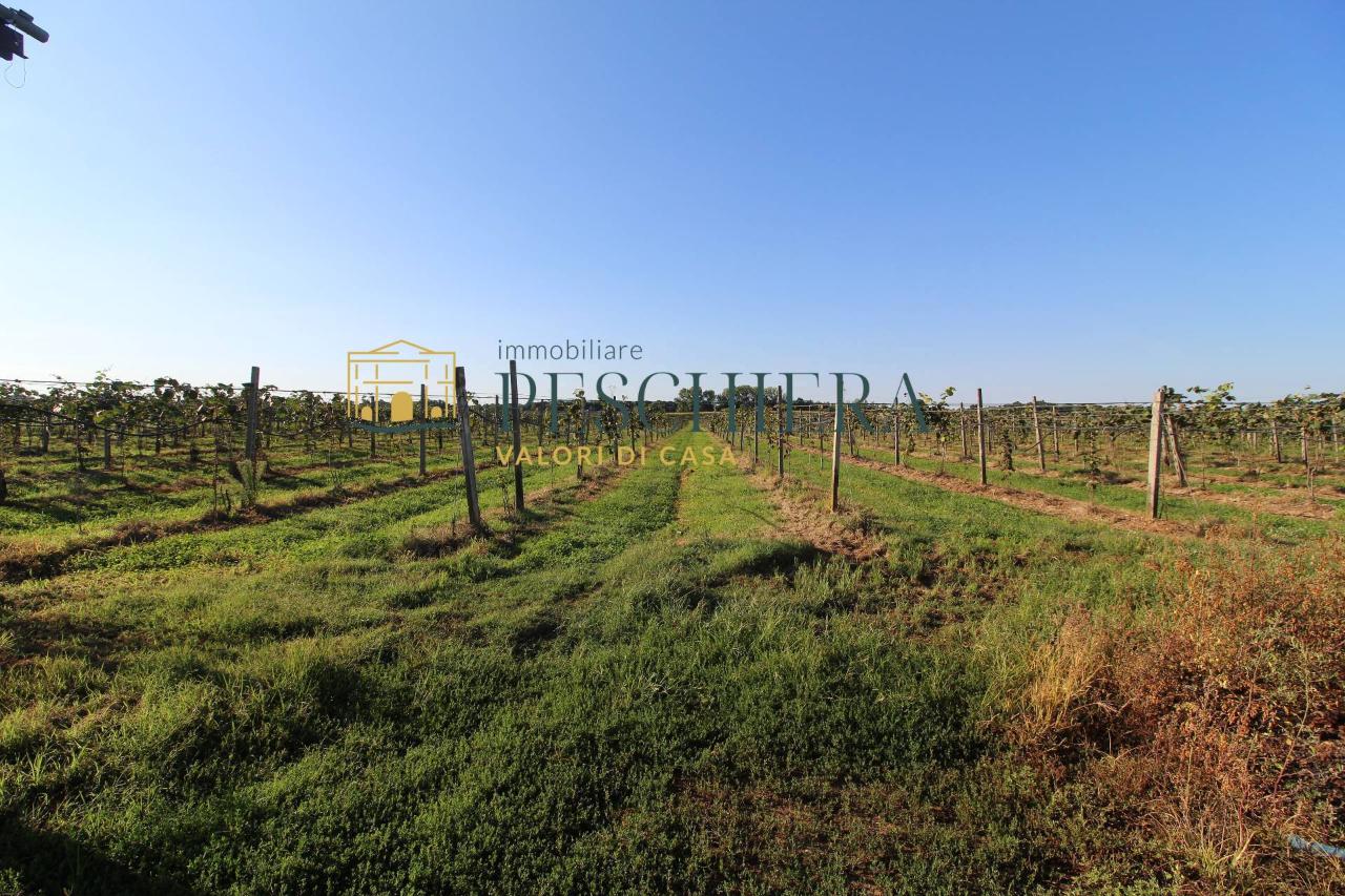 Terreno agricolo in Strada Provinciale 15 15, Volta Mantovana