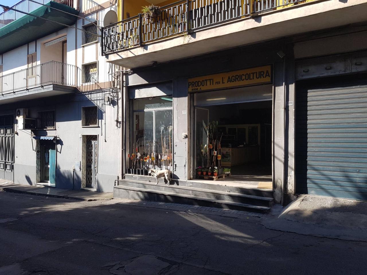 Negozio in vendita a Paterno'
