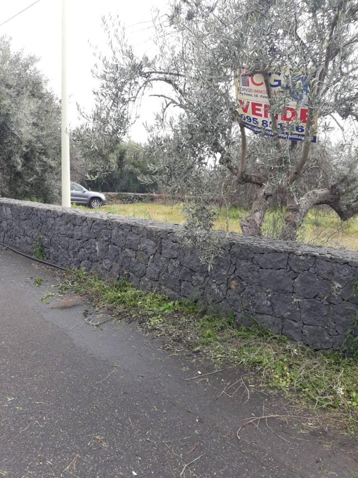 Terreno agricolo in vendita a Paterno'
