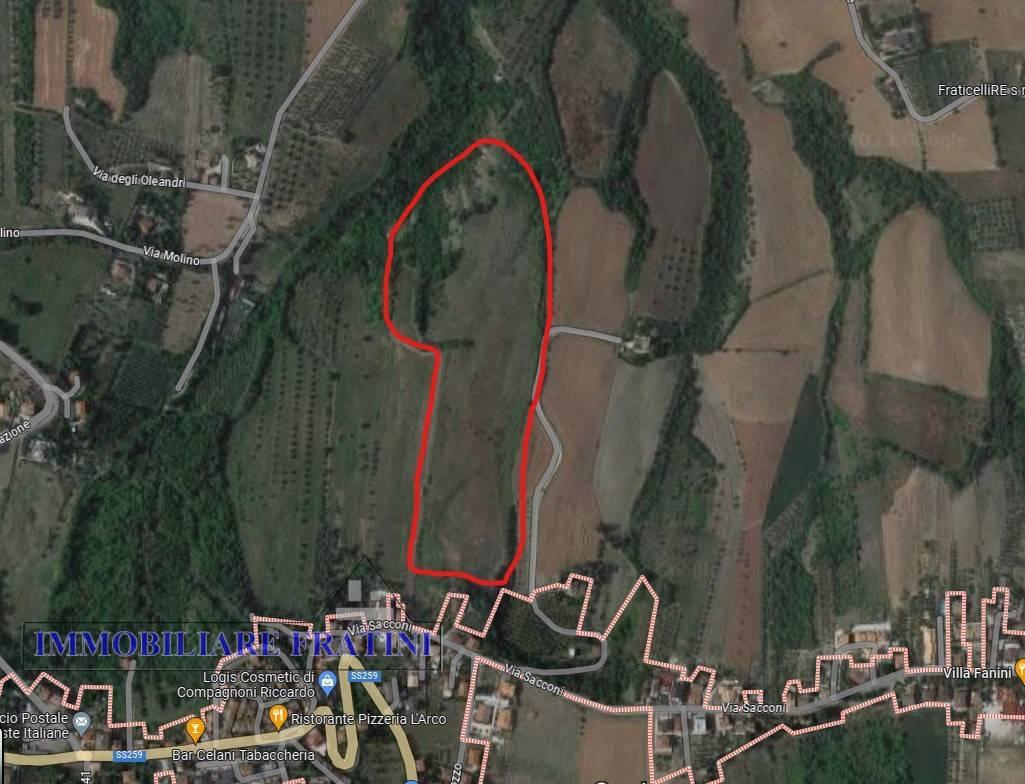Terreno agricolo in vendita a Maltignano