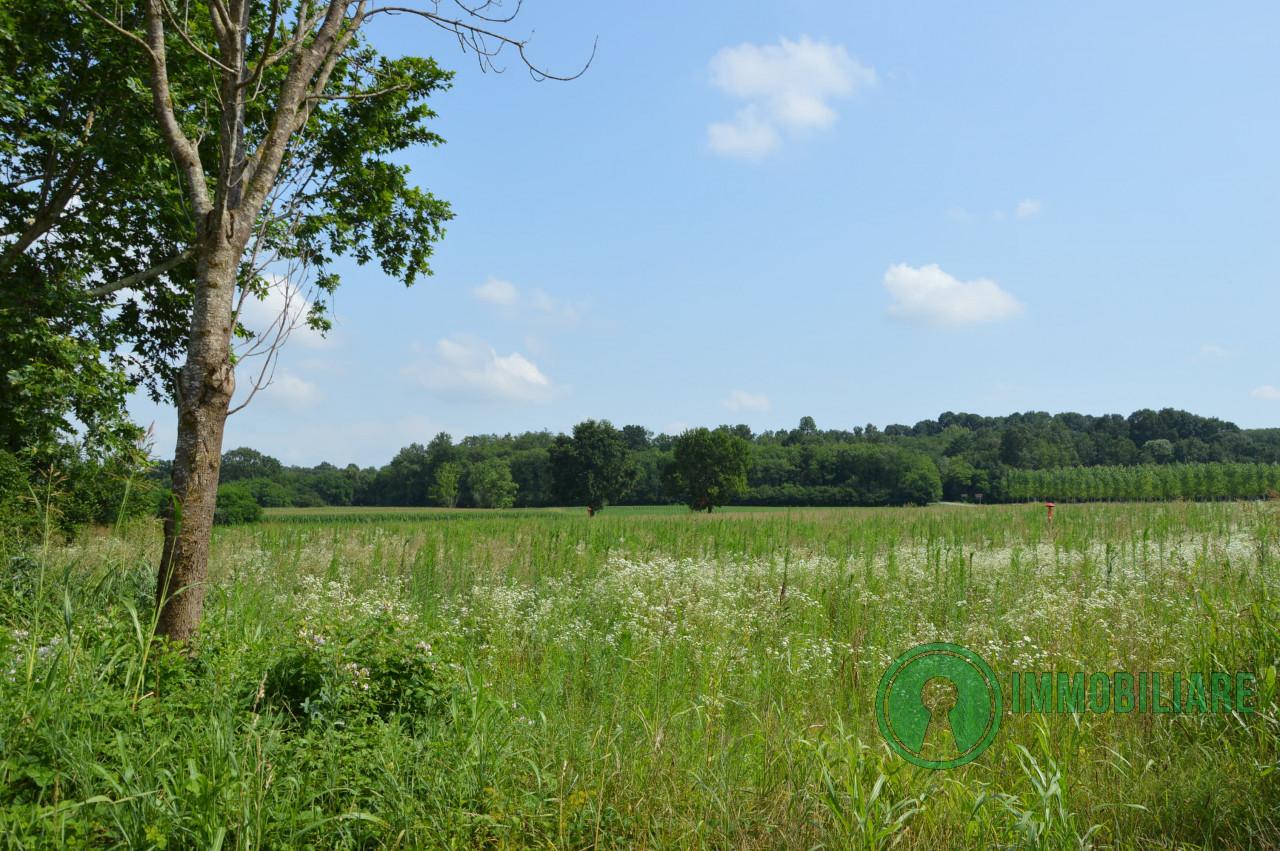 Terreno agricolo in vendita a Cassacco
