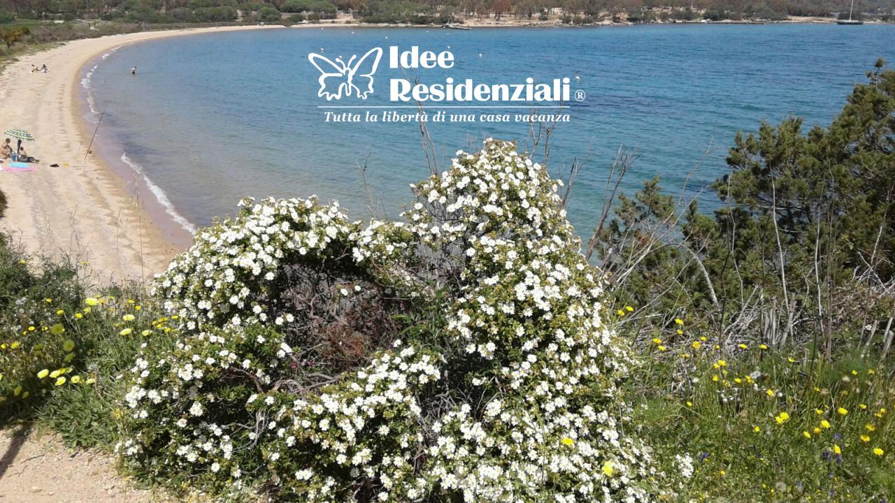 Appartamento in vendita a Palau